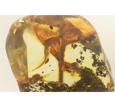 Amber Inclusions | www.amberinclusions.eu